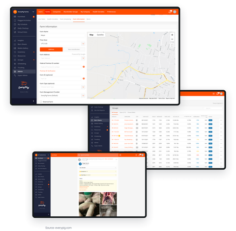 AI-based Swine Management Software | EveryPig case study | Brocoders