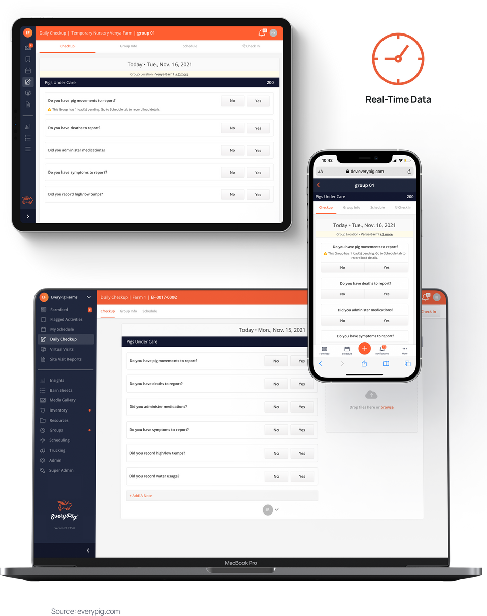 AI-based Swine Management Software | EveryPig case study | Brocoders
